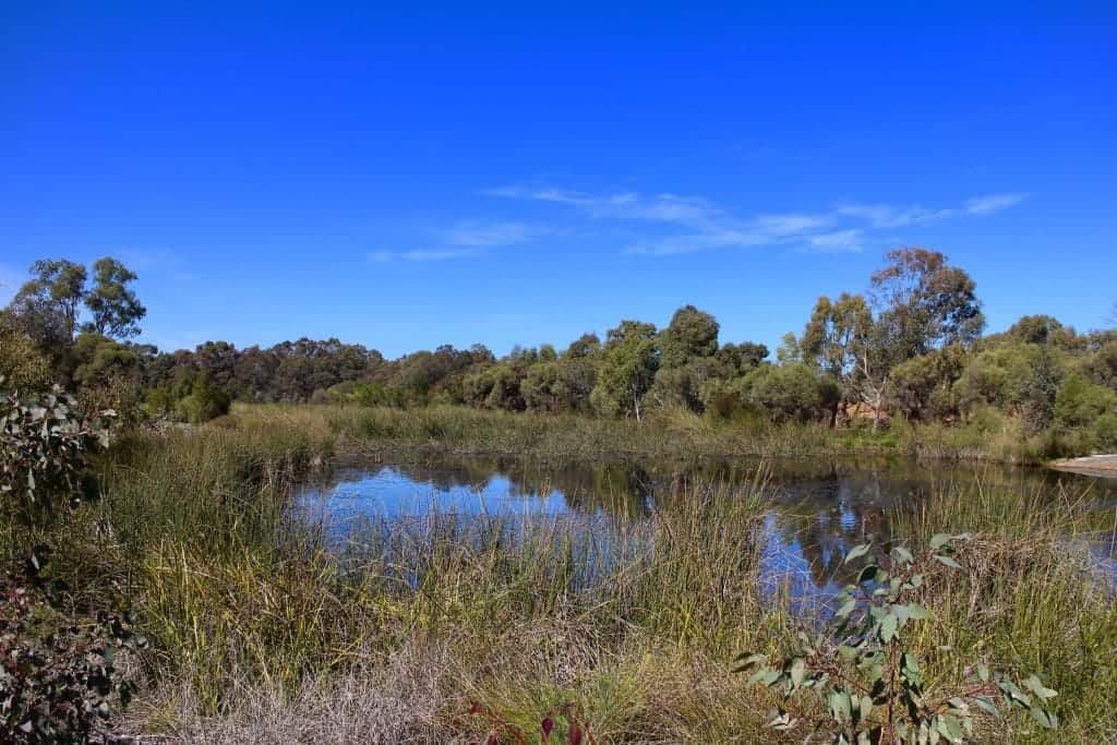 Eric Singleton Wetlands Bayswater WA 6053 - Lay2 Real Estate ...